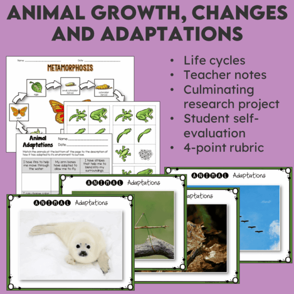 Ontario Science Unit - Growth and Changes in Animals - Mrs. Beattie's ...