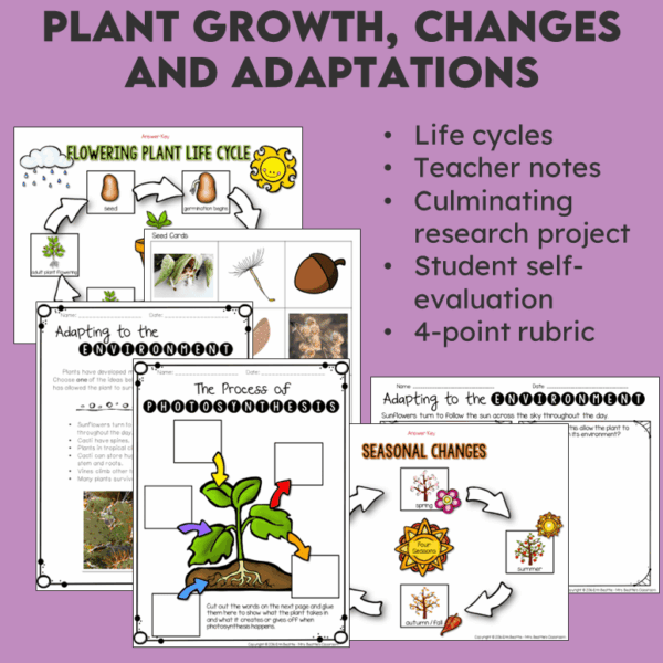 Ontario Science Unit - Growth and Changes in Plants - Mrs. Beattie's ...