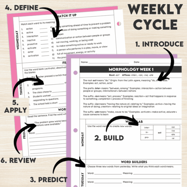 Full Year Grade 6 Greek & Latin Roots Prefixes Suffixes Worksheets ...
