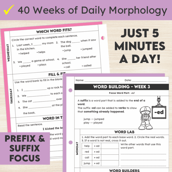 Full Year Grade 3 Prefixes and Suffixes Worksheets - Morphology - Mrs ...